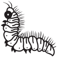 Caterpillar Graphic Illustration Sticker