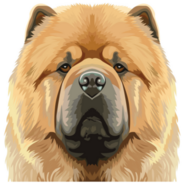 Chow Chow Face Sticker