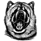 Chow Chow Line Drawing Sticker