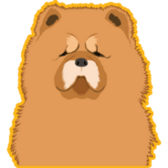 Chow Chow, Yellow Sticker