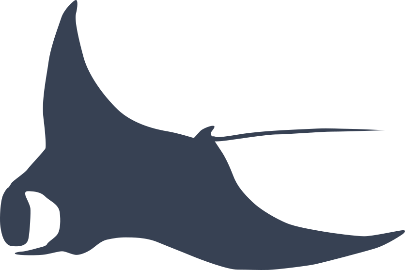 Vibrant, High-Quality Classic StingRay Stickers