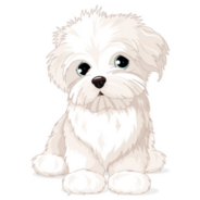 Clipart Maltese Sticker
