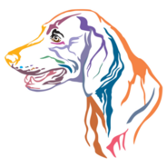 Color Weimaraner Sticker