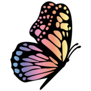 Colorful Butterfly With Magenta Wings Sticker
