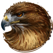 Colorful Hawk Sticker
