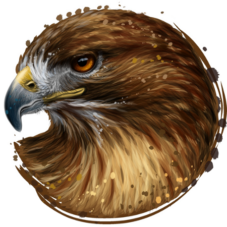 Colorful Hawk Sticker