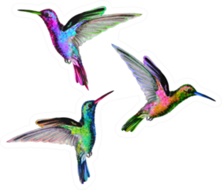 Colorful Hummingbirds Are Flying Sticker