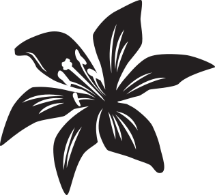 Lily Flower Stickers & Decals | Car Stickers