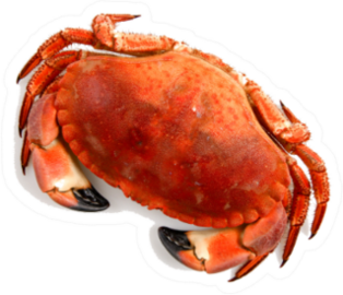 Crab Decals & Stickers | Free Shipping