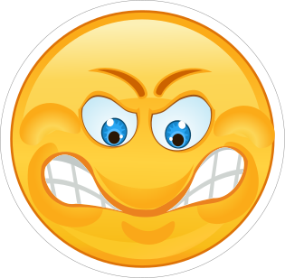 Happy, Smiling, Sad, Angry Face Car Stickers Decals