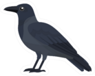 Crow Cartoon Sticker