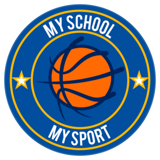 Basketball Car Stickers & Decals – Dozens of Creative Designs