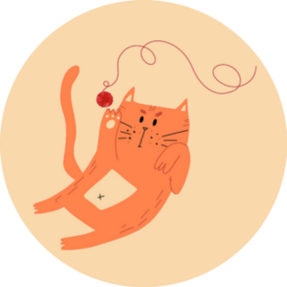 Shop Cute & Funny Cat Stickers | Free Shipping