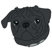 Cute Black Pug Sticker