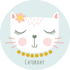 Cute Caturday Cat Sticker