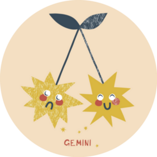 Gemini Zodiac & Astrology Stickers & Car Decals