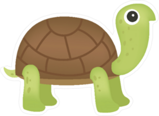 Turtle Stickers & Car Decals – Over 60 Unique Designs