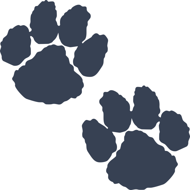 Cute Paw Prints Sticker - Fast Shipping & No Minimums