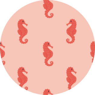 Seahorse Vinyl Decals & Stickers | Car Stickers