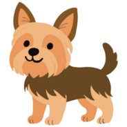 Cute Smile Yorkie Sticker