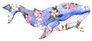 Whale Car Stickers & Decals – Killer Whales, Blue Whales & More