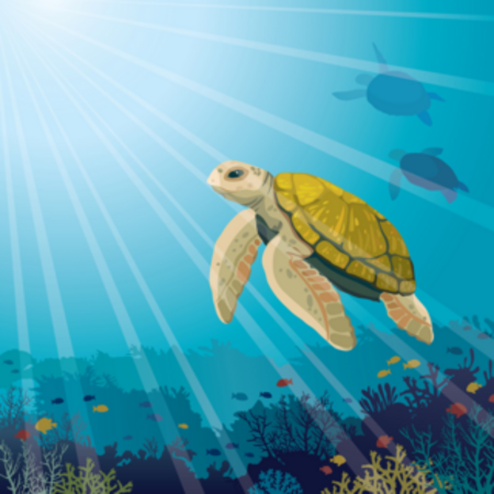 Cute Yellow Turtle By Coral Reef Sticker