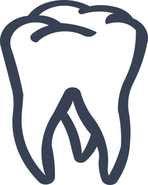 Order Your Dental Molar Tooth Sticker Today - Free Shipping!