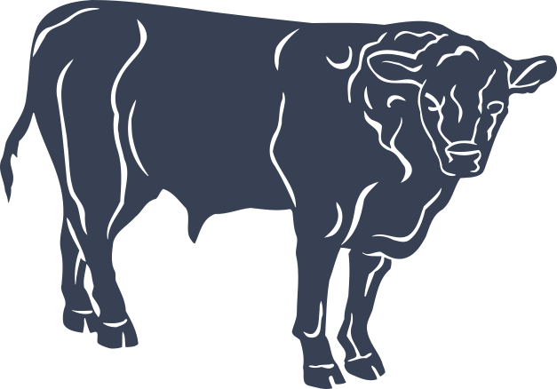 Order Your Detailed Bull Sticker Today - Free Shipping!