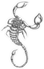 Detailed Dot Scorpion Sticker