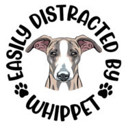 Distracted Whippet Sticker