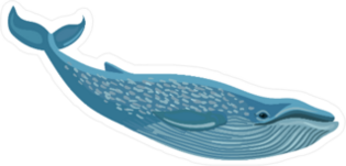 Whale Car Stickers & Decals – Killer Whales, Blue Whales & More