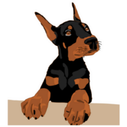 Doberman Pup Sticker