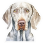 Dog Face Painted Sticker