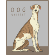 Dog Whippet Sticker