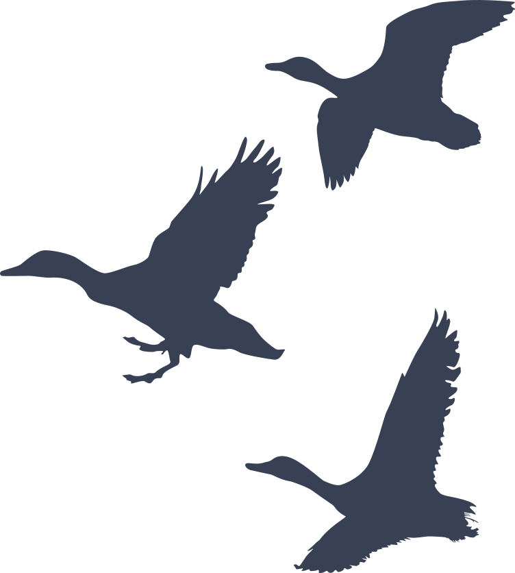 Ducks Flying Sticker - 50+ Colors!