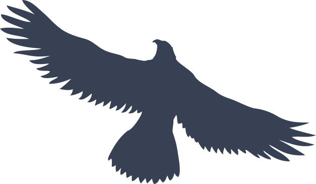 Eagle Bird Flying Sticker - 50+ Colors!