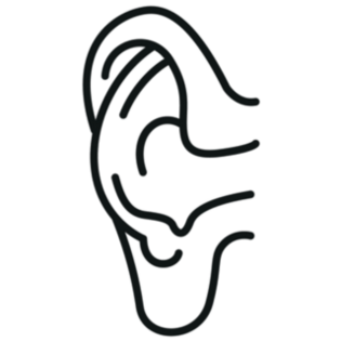 High Quality Ear Stickers & Decals - Free Shipping