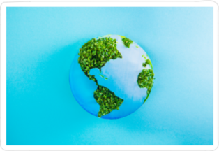 Environment and Eco-Friendly Stickers and Decals