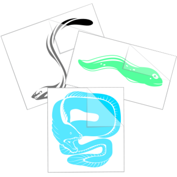 Eel Stickers & Decals | Free Shipping