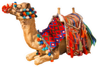 Camel Vinyl Stickers & Decals for Sale | Car Stickers