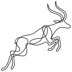 Endless Line Art Illustration Of Antelope Sticker