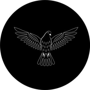 Dove Stickers & Decals for Sale | Car Stickers