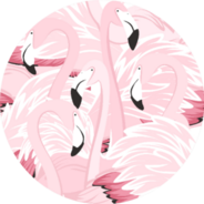 Exotic Pink Flamingo Wading Birds Flamboyance Sticker