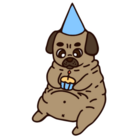 Fat Birthday Pug Sticker