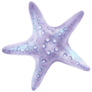 Five Pointed Starfish Sticker