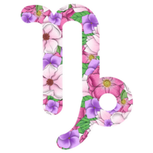 Capricorn Zodiac & Astrology Stickers & Car Decals