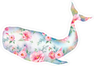 Whale Car Stickers & Decals – Killer Whales, Blue Whales & More