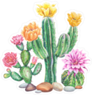 Flowering Cactus Collection Sticker