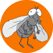 Fly Cartoon On Orange Sticker
