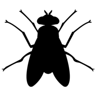 Fly Icon Silhouette Sticker